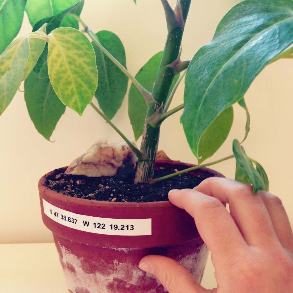 How to find a Multi-Cache – Official Blog