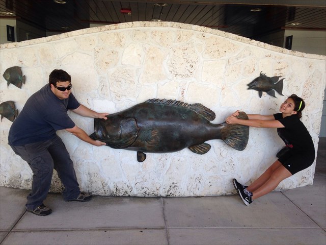 Fight fish – Official Blog