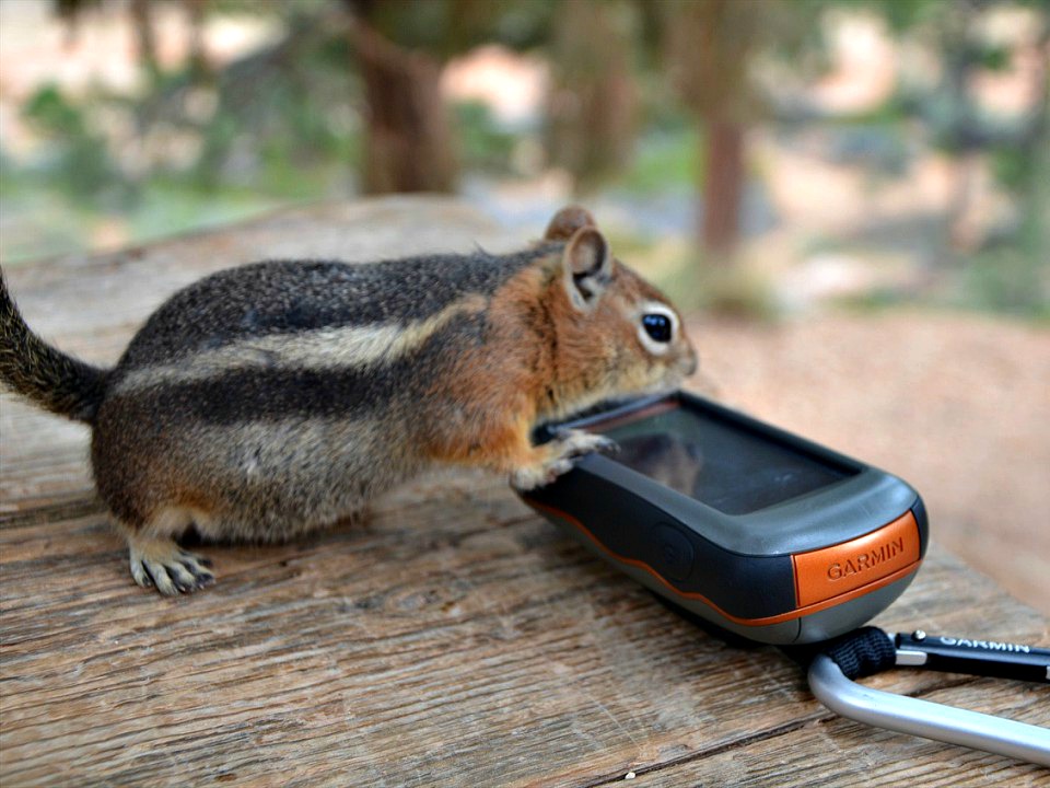 Geocaching Tools – Official Blog