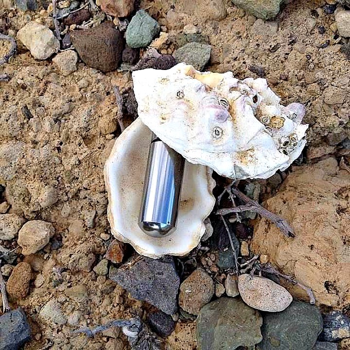 Ten tips for newbies looking for their first geocache – Official Blog