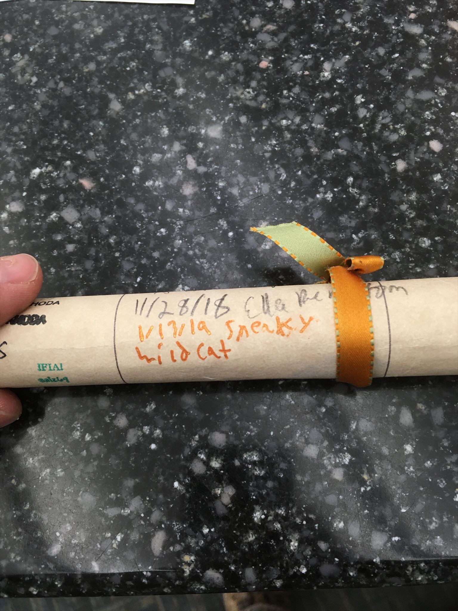 Cache Hiding Themes—January: books and libraries – Official Blog